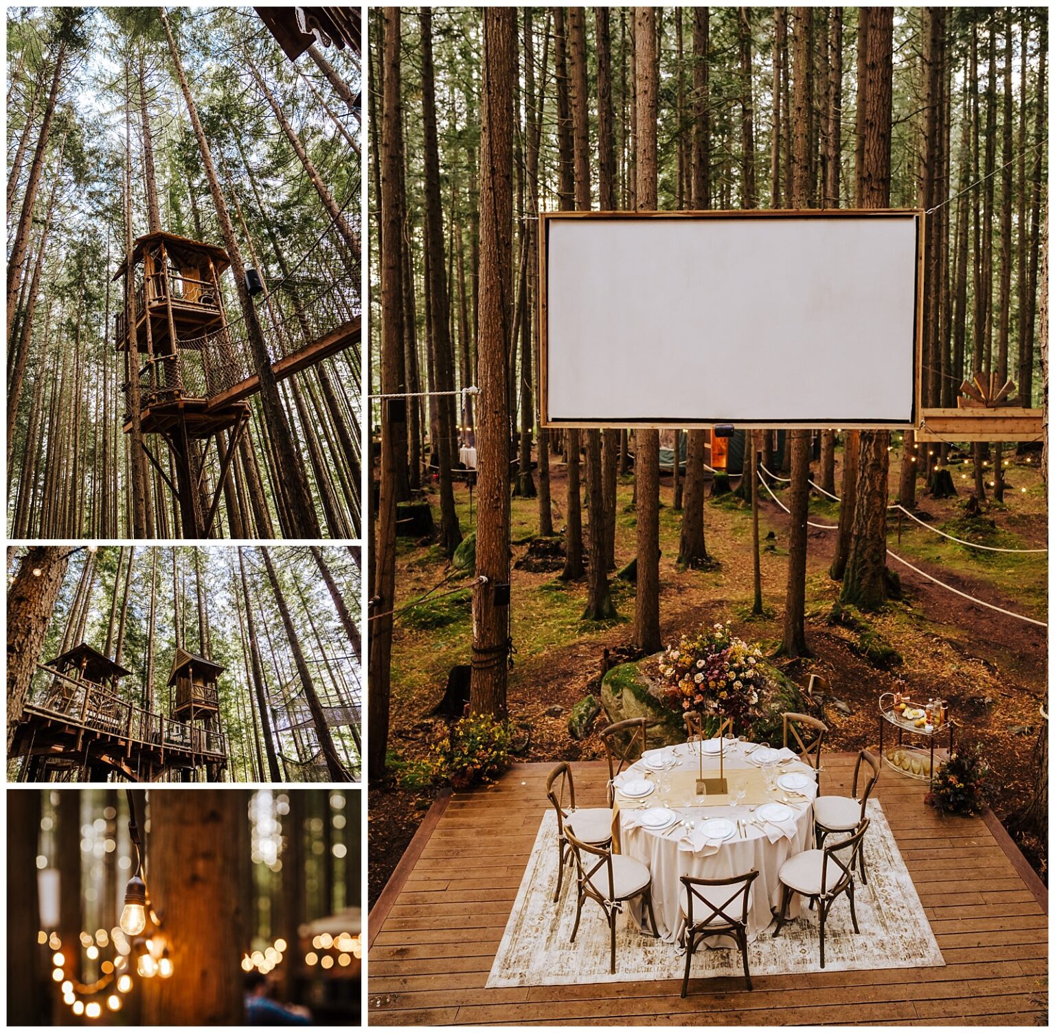 The Emerald Forest Micro Wedding in Redmond, WA | Drew + Taylor ...